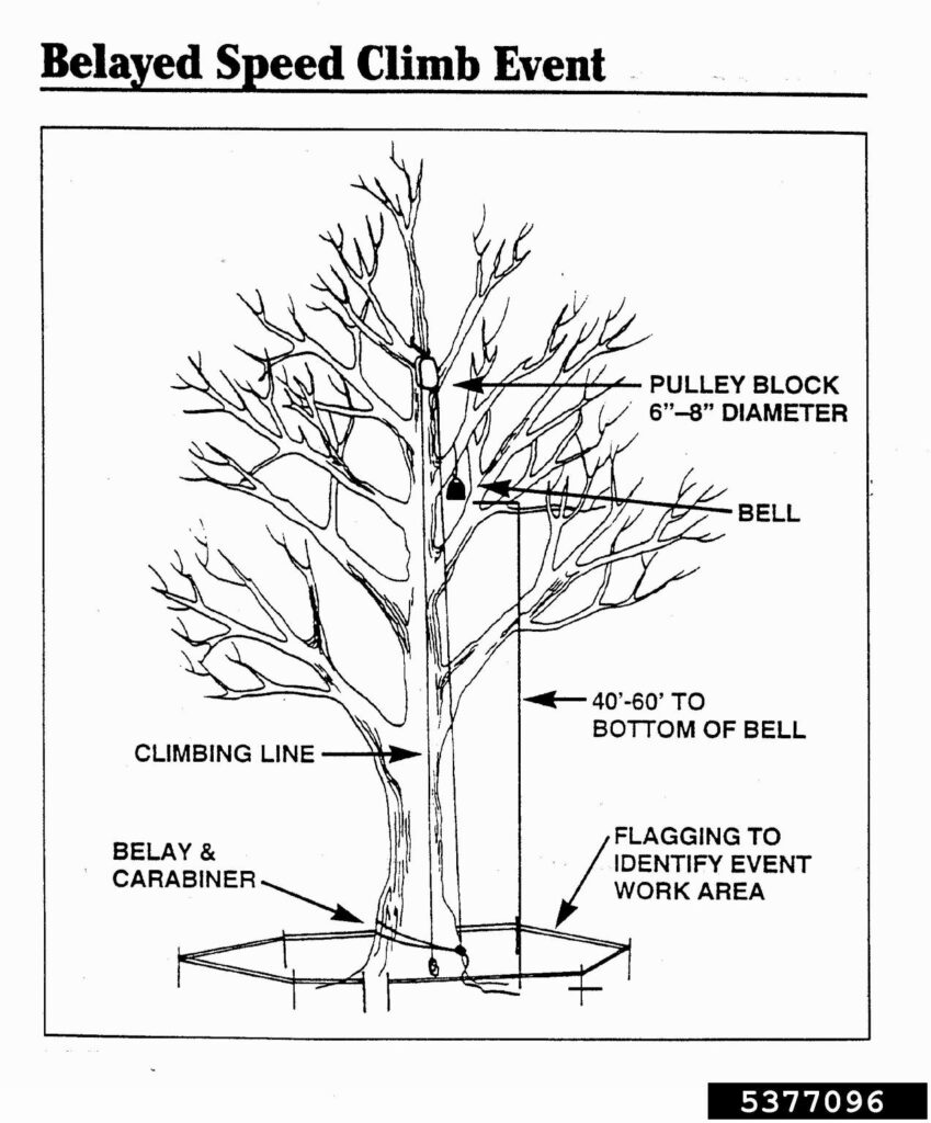 Illinois Tree Climbing Championship - Prairie State Bonsai Society