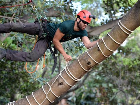 Illinois Tree Climbing Championship - Prairie State Bonsai Society